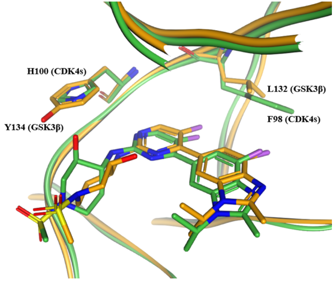 JMC | 辉瑞高选择性CDK4抑制剂Atirmociclib迈入III期临床，乳腺癌治疗有望升级 - 知乎