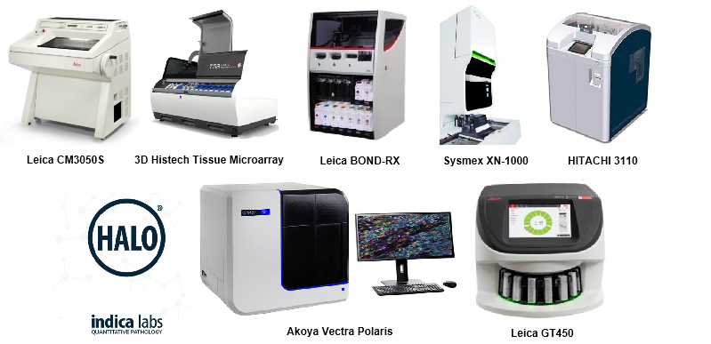 强强联合 | TMA&TSA助力生物医药产业创新发展 - 知乎