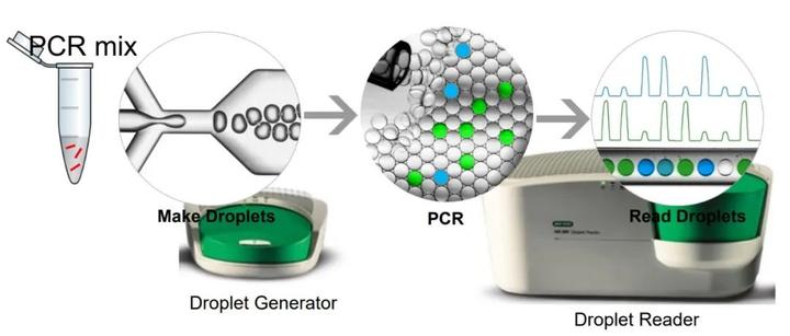 微液滴数字PCR之伯乐QX200 - 知乎