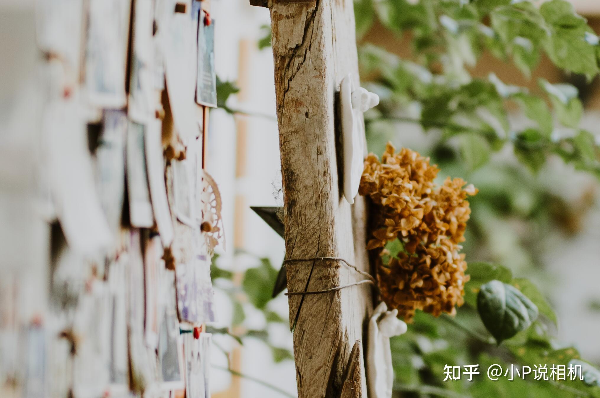 目前Sony A7C2的实际售价与A7M4已经几乎相同，A7C2还值得买吗？ - 知乎