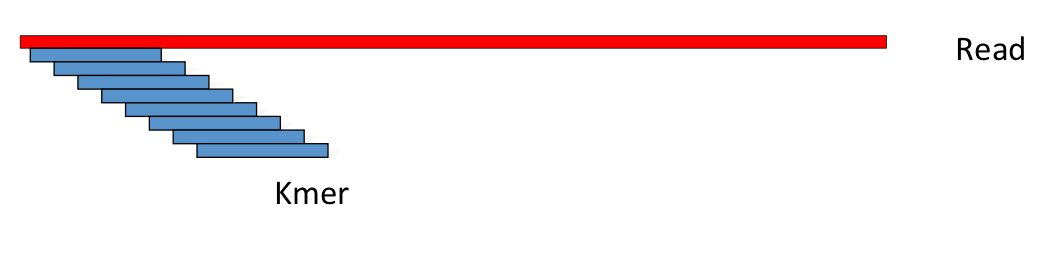使用kmer来评估基因组特征 - 知乎