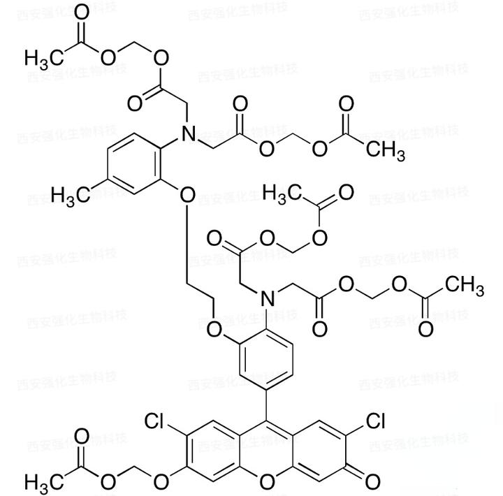 CAS：121714-22-5，Fluo-3 AM，Cell Permeant，钙离子荧光探针，具体信息 - 知乎