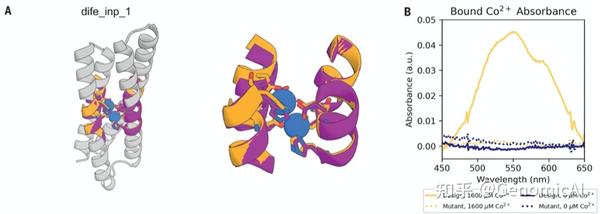 Science| 几行深度学习代码设计包含功能位点的候选免疫原、酶活性位点、蛋白结合蛋白、金属配位蛋白 - 知乎