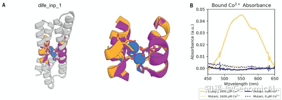 Science| 几行深度学习代码设计包含功能位点的候选免疫原、酶活性位点、蛋白结合蛋白、金属配位蛋白 - 知乎