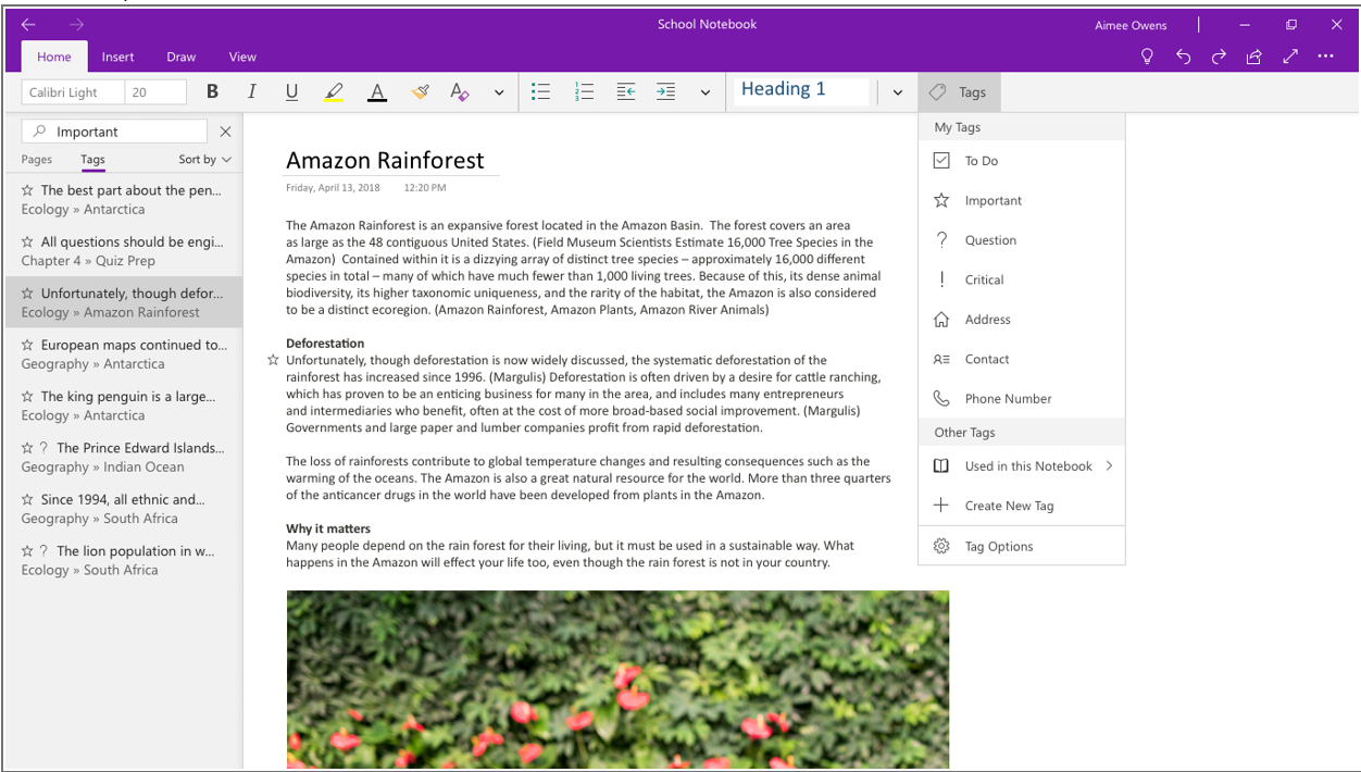 微软将为 OneNote UWP 打造最好的 OneNote 体验 - 知乎