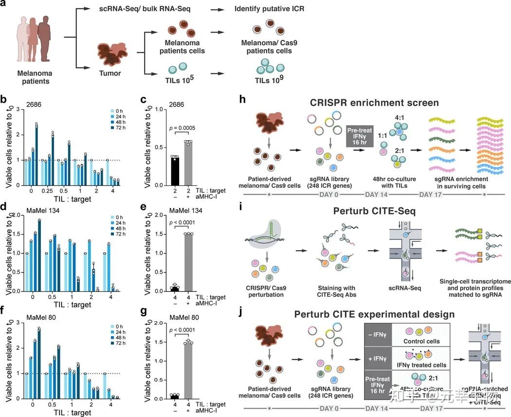 技术介绍 | 单细胞CITE-seq：同时检测单细胞转录本和表面蛋白 - 知乎