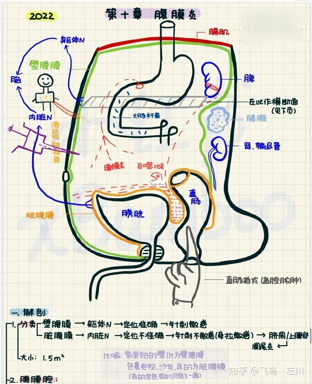 【干货】急性腹膜炎诊疗思路 - 知乎