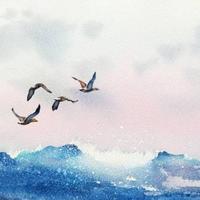 【教程】把 Arch 安装到你的 U 盘上 - 知乎