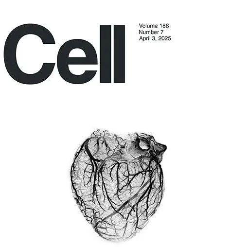 Cell | 4 月份文章发表目录 (2025.4.3~2025.4.15) - 知乎