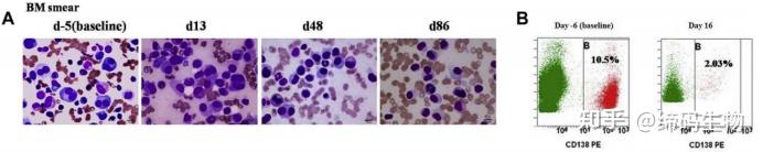 肿瘤免疫靶点 | CD138 - 知乎