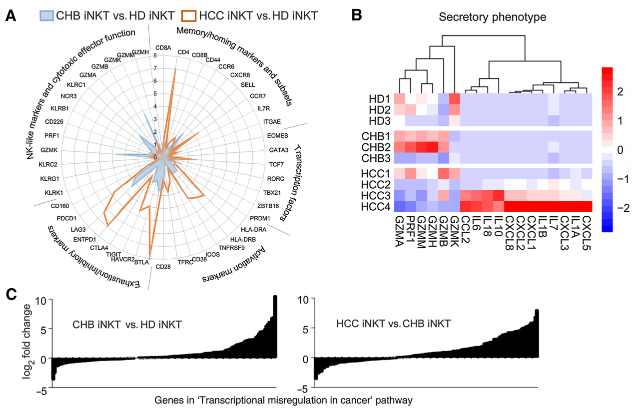 项目文章｜iNKT细胞免疫疗法疗效不佳？都是iNKT细胞衰老惹的祸！ - 知乎