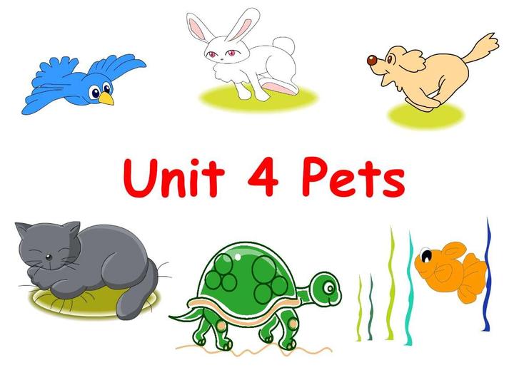 人教版小学英语三年级上册《Unit 4 Pets lesson 1》优质课公开课课件、教案 - 知乎