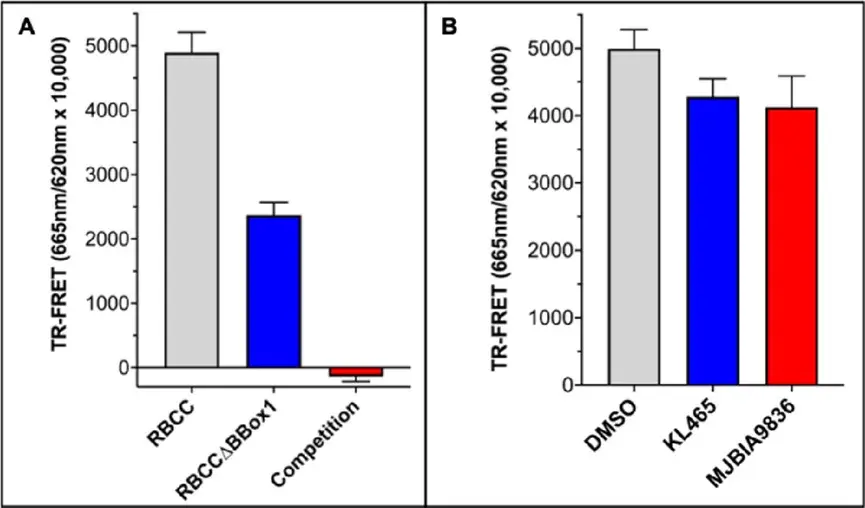 DEL Insight | DEL助力发现E3连接酶衔接体蛋白MAGE-A3配体和PROTAC - 知乎