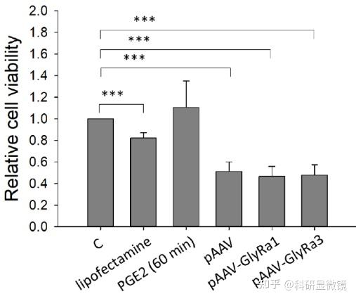 利用腺相关病毒(AAV)研究目标基因功能的实验设计 - 知乎