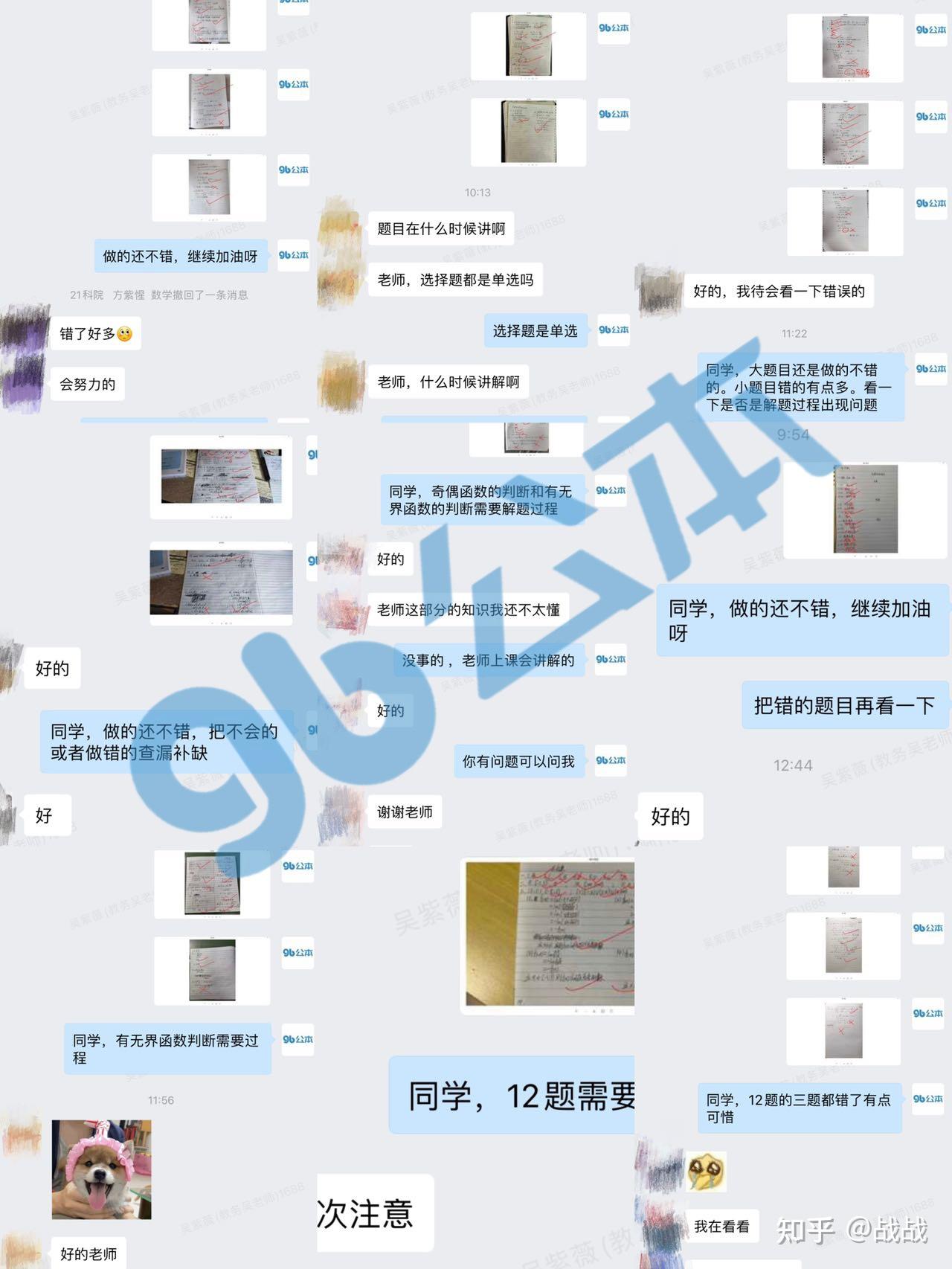 公本专转本:专转本辅导机构的选择 知乎