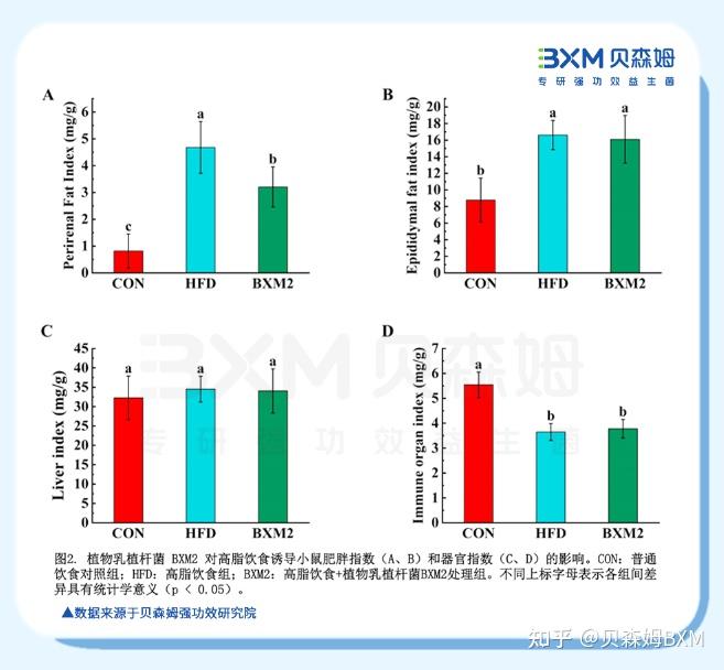 强功效·成果|植物乳植杆菌BXM2：调节肠道健康，体重管理全新解决方案 - 知乎