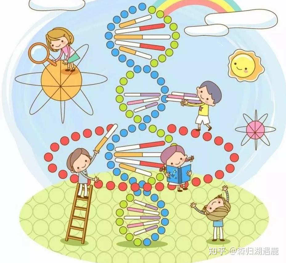 强直性脊柱炎的遗传概率是多大？ - 知乎