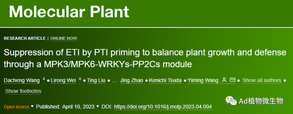 Molecular Plant | 南京农业大学研究揭示植物免疫平衡植物生长和防御的机制！ - 知乎