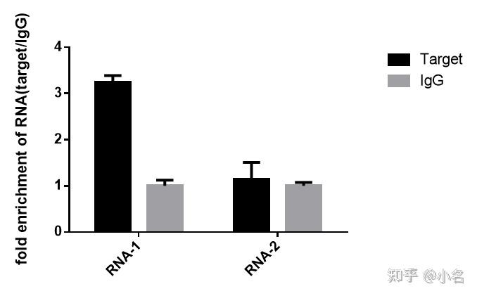 RIP实验方法 - 知乎