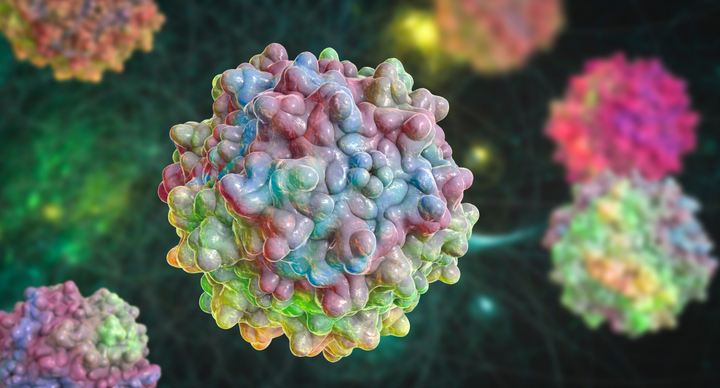 基因治疗载体AAV衣壳改造的研究进展 - 知乎