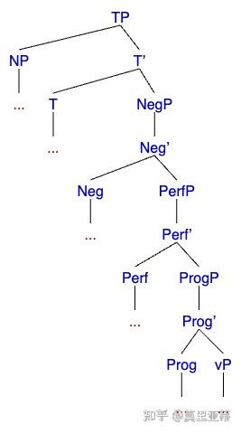如何画句法学中各种成分的树状图及其对应框状图 - 知乎