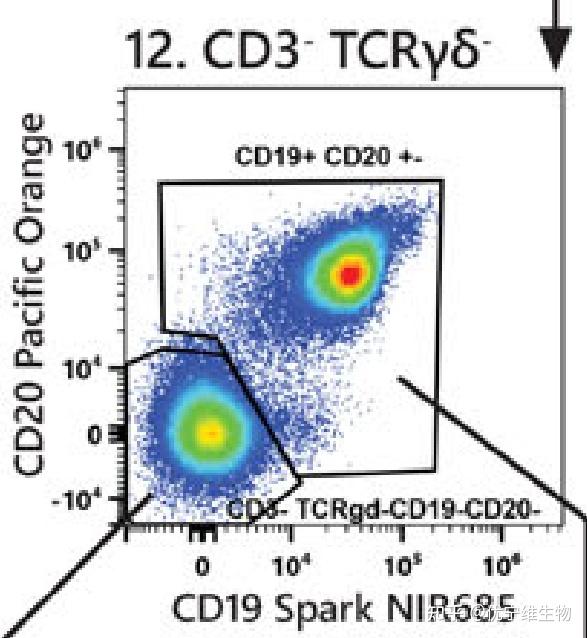 【光谱系列3】40色全光谱流式用于人外周血中主要细胞亚群的深度免疫表型 - 知乎