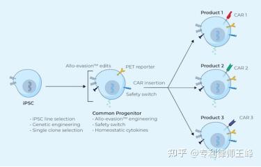 Century公司（Century Therapeutics）iPSC诱导多能干细胞专利技术分析 - 知乎