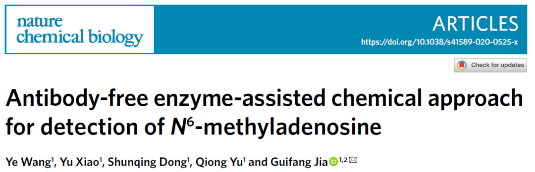 Nat Chem Bio背靠背 | 新的m6A高通量测序方法 - 知乎