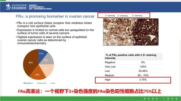 铂耐药卵巢癌治疗新选择----MIRV - 知乎