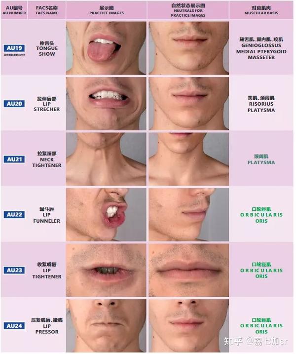 FACS-Facial Action Coding System 面部表情编码系统 各AU(Action Unit)说明 - 知乎