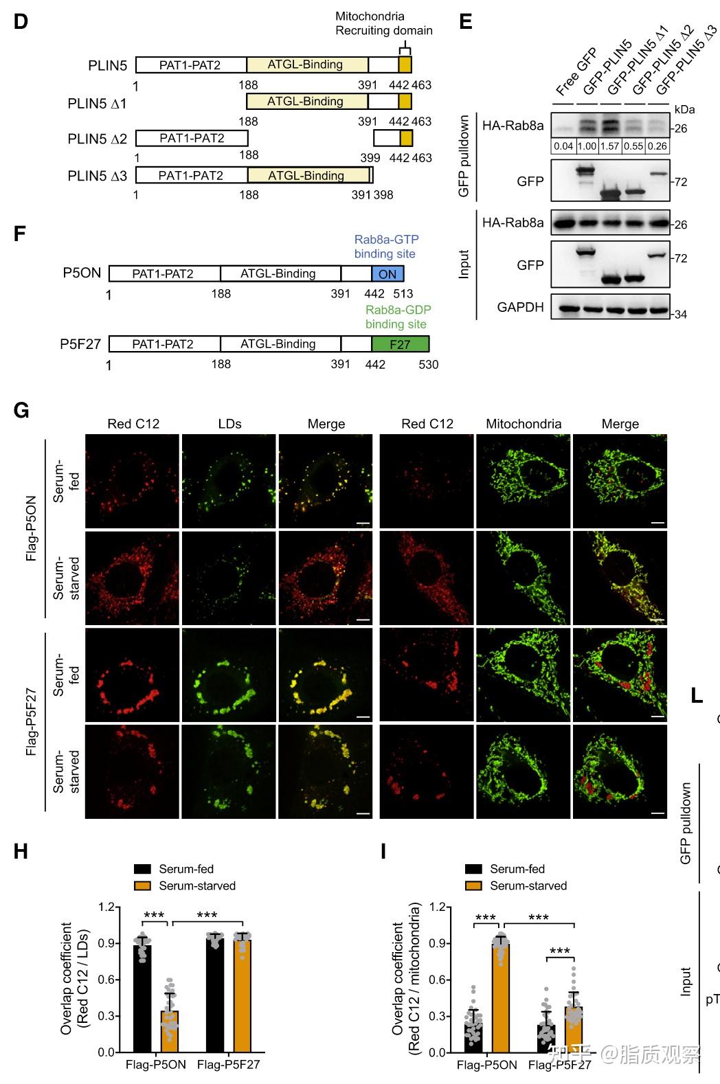 AMPK通过调节Rab8a-Plin5互作促进脂滴线粒体互作 - 知乎