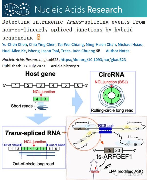 Nucleic Acids Res丨台湾省研究人员整合二代和三代测序数据识别基因内ts-RNA - 知乎