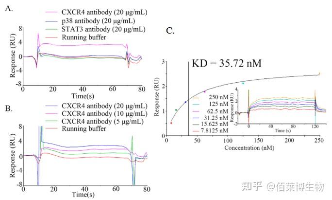 SPR配体垂钓应用分享 (二)：SPR技术在中草药活性成分的发现及验证中的应用 - 知乎