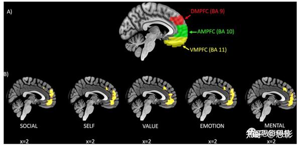 内侧前额叶皮层 (MPFC) 的社会、“自我”（self）、（情境）和情感过程：因果、多变量和反向推理证据 - 知乎