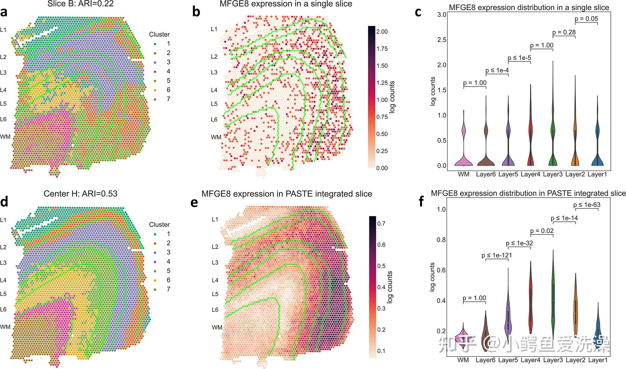 Alignment and Integration of Spatial Transcriptomics Data 论文阅读整理 - 知乎
