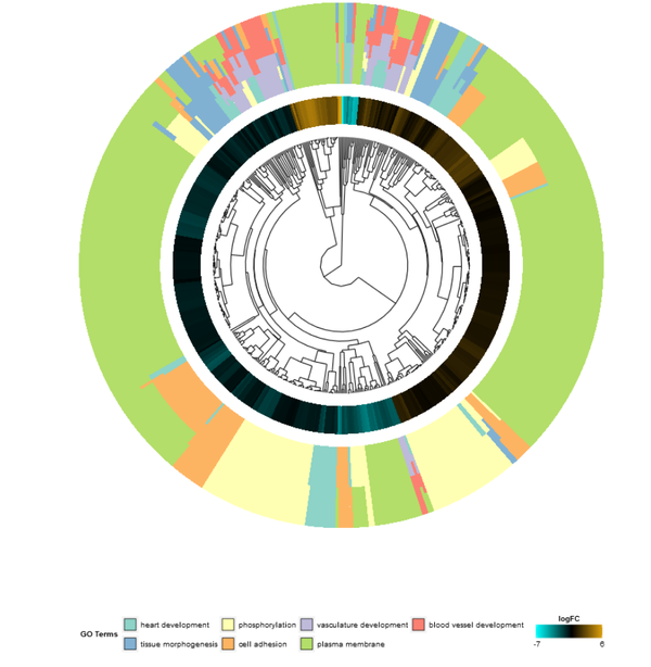 GOplot | 更美观的富集分析可视化 - 知乎