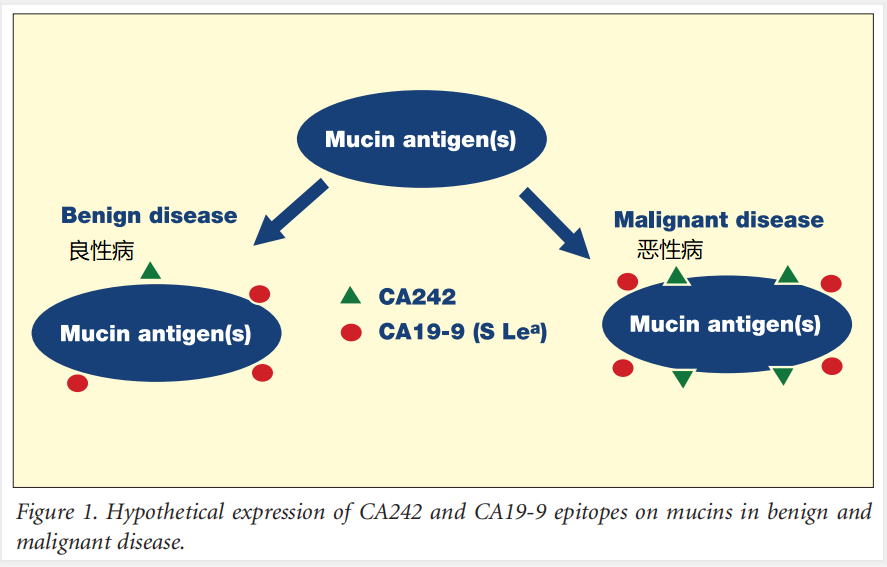 Ca199升高是有肿瘤吗？ - 知乎