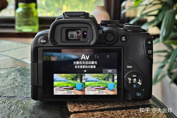 是否建议纯新手（没有任何摄影器材）购买佳能r10加套机镜头，这样的搭配是否能让新手在摄影路上走更远？