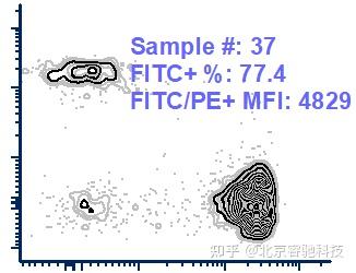 FCS Express流式分选分析软件-睿驰科技正版软件 - 知乎