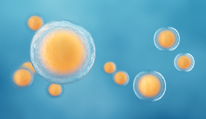 CIK细胞和NK细胞有什么不同？ - 知乎
