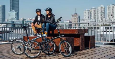 DAHON ARCHER PRO「S20」，速度与稳定并重，给你非凡驾驭之旅！