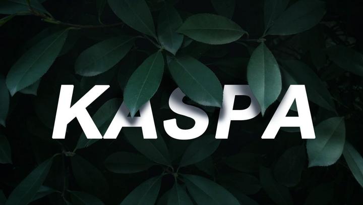 为什么要买Kaspa？一图到底 - 知乎