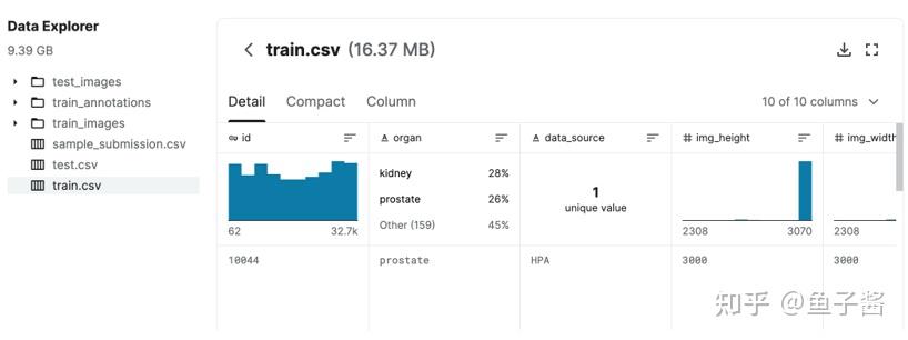 kaggle-Hubmap分割多器官FTU baseline - 知乎