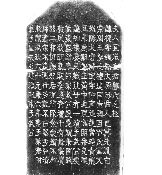 贾南风废黜愍怀太子司马遹的前因后果 知乎