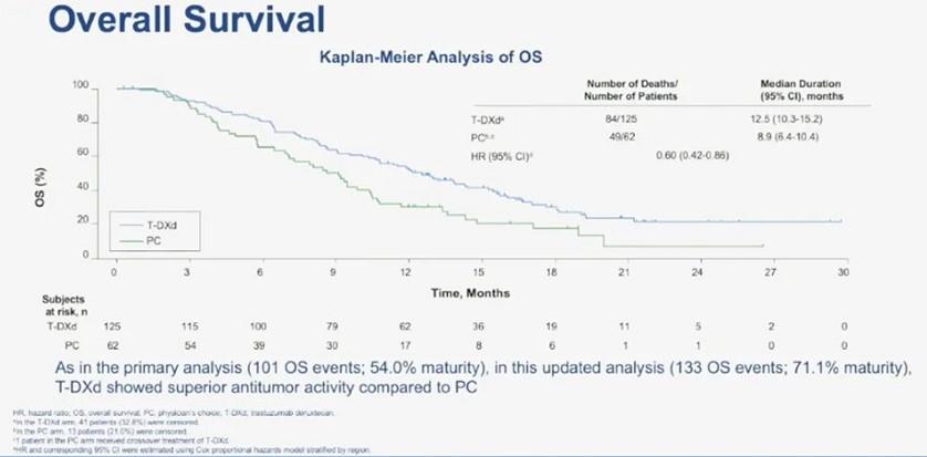 基因&用药 ‖ HER2 ADC药物在胃癌中的研究进展-上 - 知乎