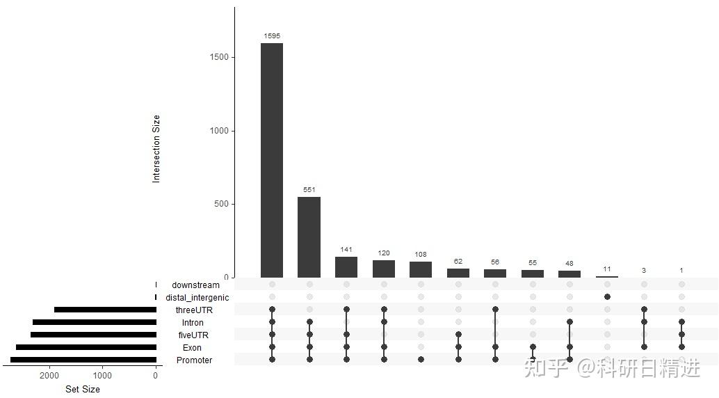 用ChIPseeker对ChIP-seq数据进行可视化，图表直观颜值高！ - 知乎