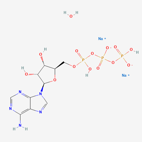 ATP-Na2（三磷酸腺苷二钠）；CAS号： 34369-07-8 - 知乎