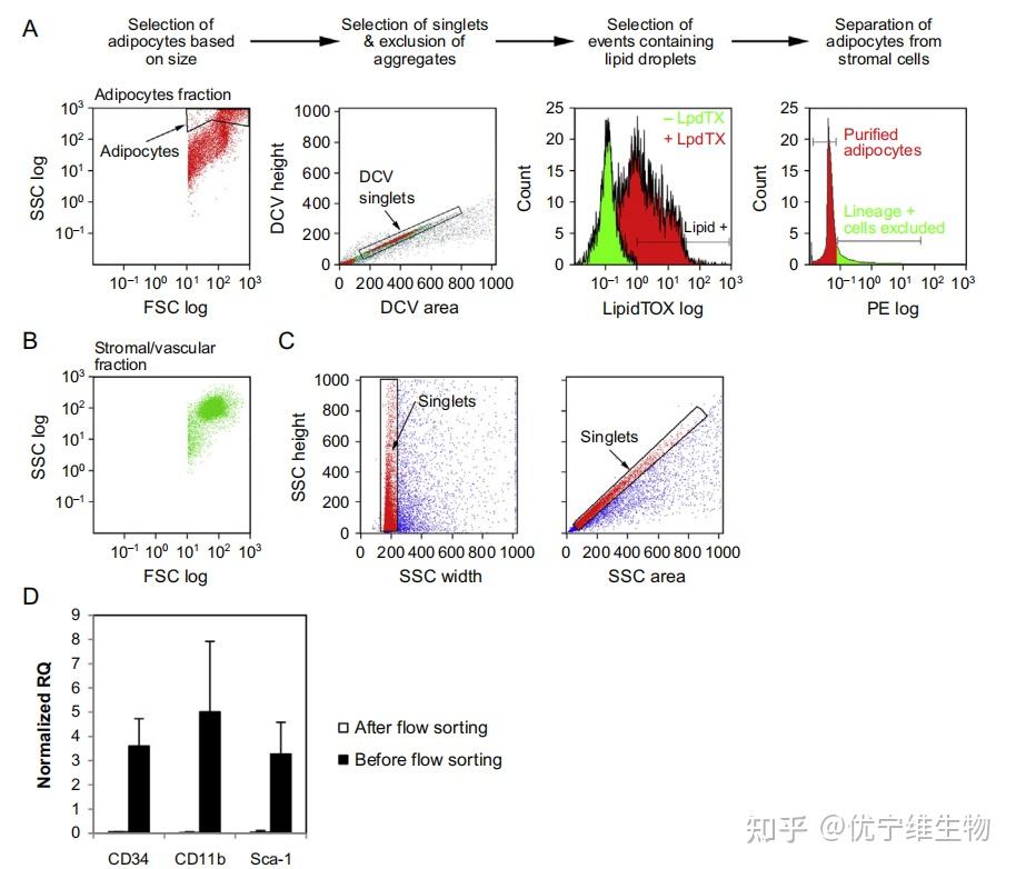 Obesity immune microenvironment肥胖免疫微环境——Cell Based Solution - 知乎