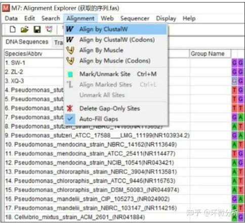 如何使用MEGA软件构建系统发育树_速成实用经验 - 知乎