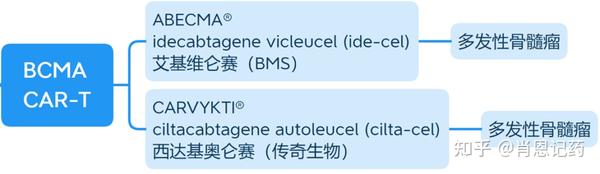 记住FDA生物药 | 2款BCMA CAR-T | idecabtagene vicleucel，西达基奥仑赛 | 多发性骨髓瘤 - 知乎